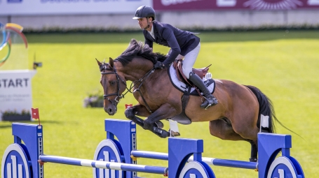 Bienvenue au Haras de Talma - Commercialisation et mise en place de ...